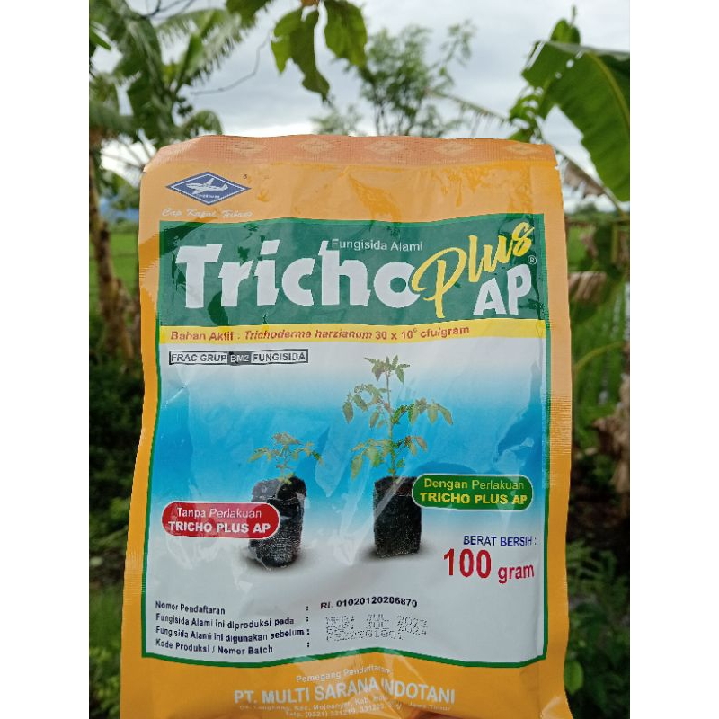 Jual Trichoplus AP Trichoderma Pencegah layu Fusarium Tricho Plus AP ...