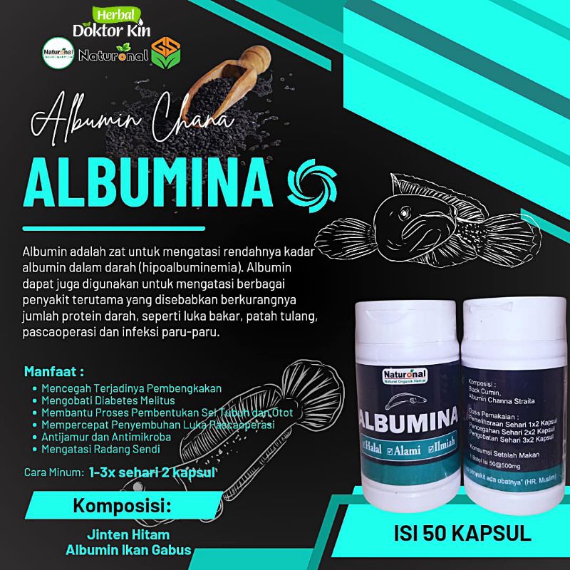 Jual ALBUMINA (Formula Dr. apt. Kintoko, M.Sc. , Pakar Herbal Alumnus ...