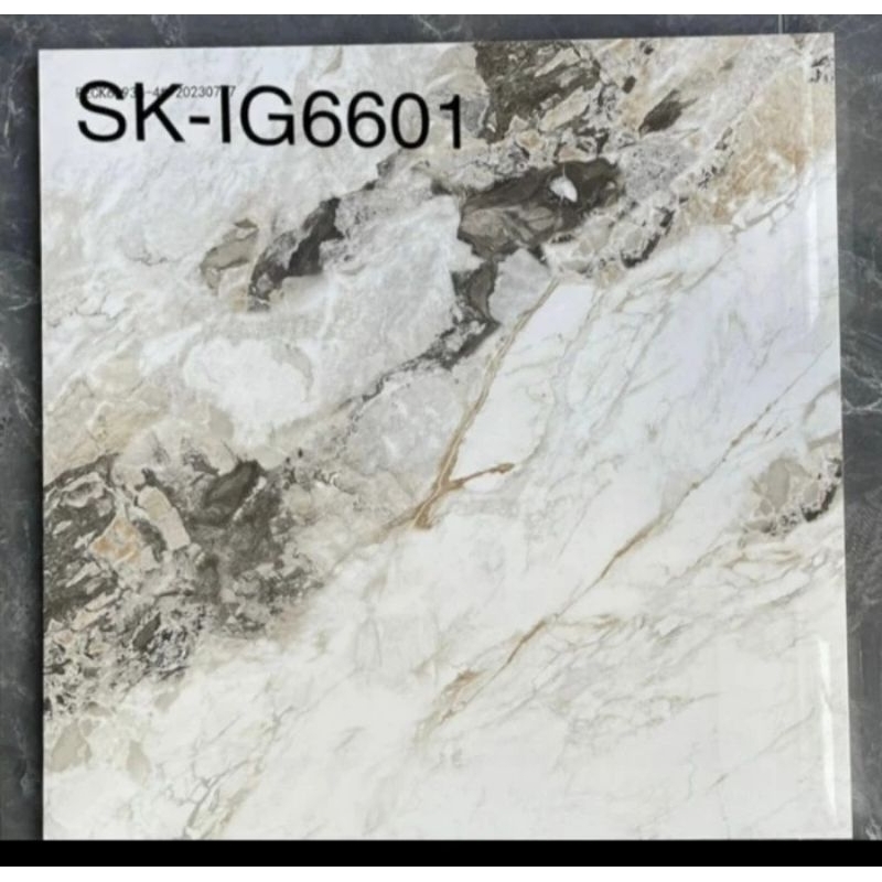 Jual Granit 60x60 Glossy Motif Marmer / Granit Ukuran 60x60 Igress Sk-IG6601 | Shopee Indonesia