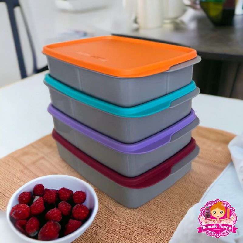 Jual Wadah Tempat Bekal Makan Makanan Cool Teen Lunch Box Tupperware ...