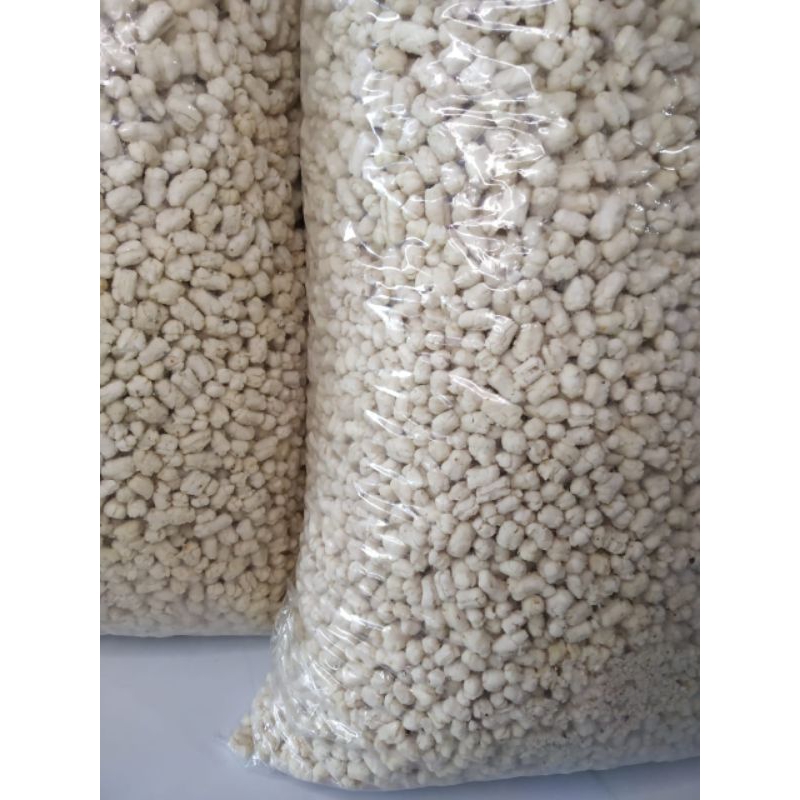 Jual Pilus cikur original 500gram | Shopee Indonesia