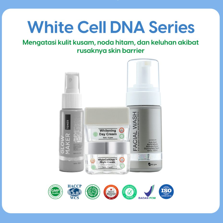 Jual MS GLOW - PAKET WAJAH WHITECELL DNA - 750 GR | Shopee Indonesia