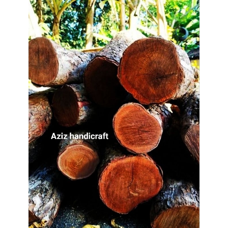 Jual BAHAN KAYU STIGI LAUT 1KG GRAM | Shopee Indonesia
