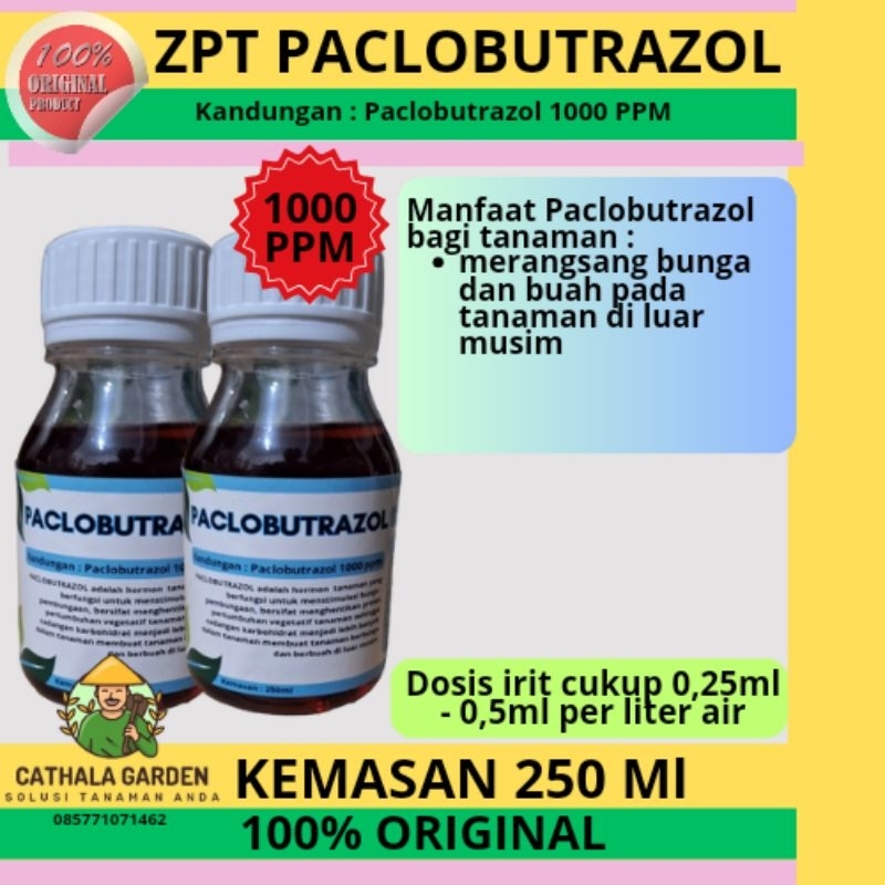 Jual ZPT HORMON PACLOBUTRAZOL 1000 PPM KEMASAN 250 ML | HORMON TANAMAN MEMICU BERBUNGA DAN ...