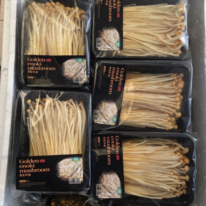 Jual Jamur Golden Enoki China mushroom 200 gram/pack | Shopee Indonesia