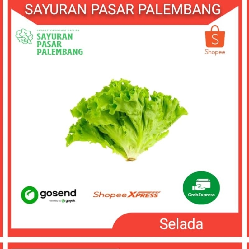 Jual Selada Keriting - Sayuran Pasar Palembang | Shopee Indonesia