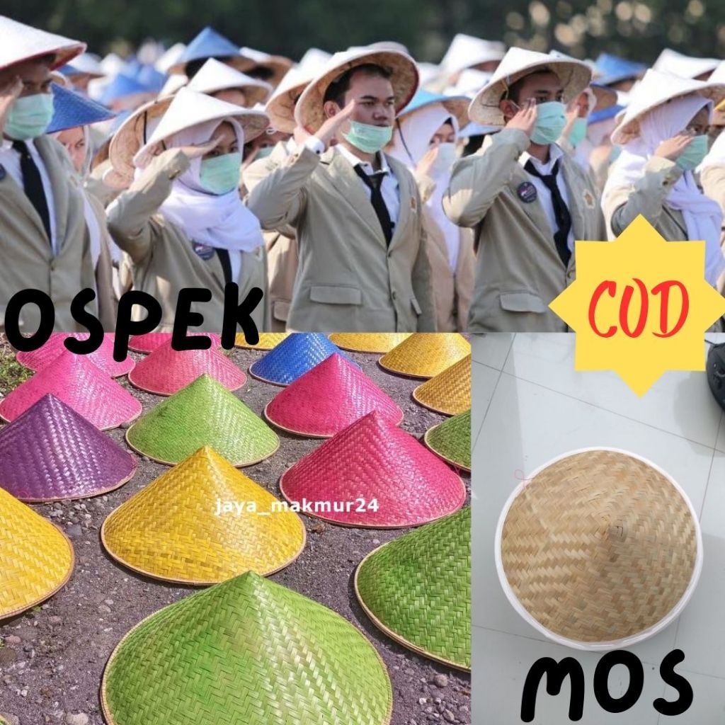 Jual Topi Caping Bambu Polos/ Caping Warna D.38 CM Untuk OSPEK PPSM UNS ...