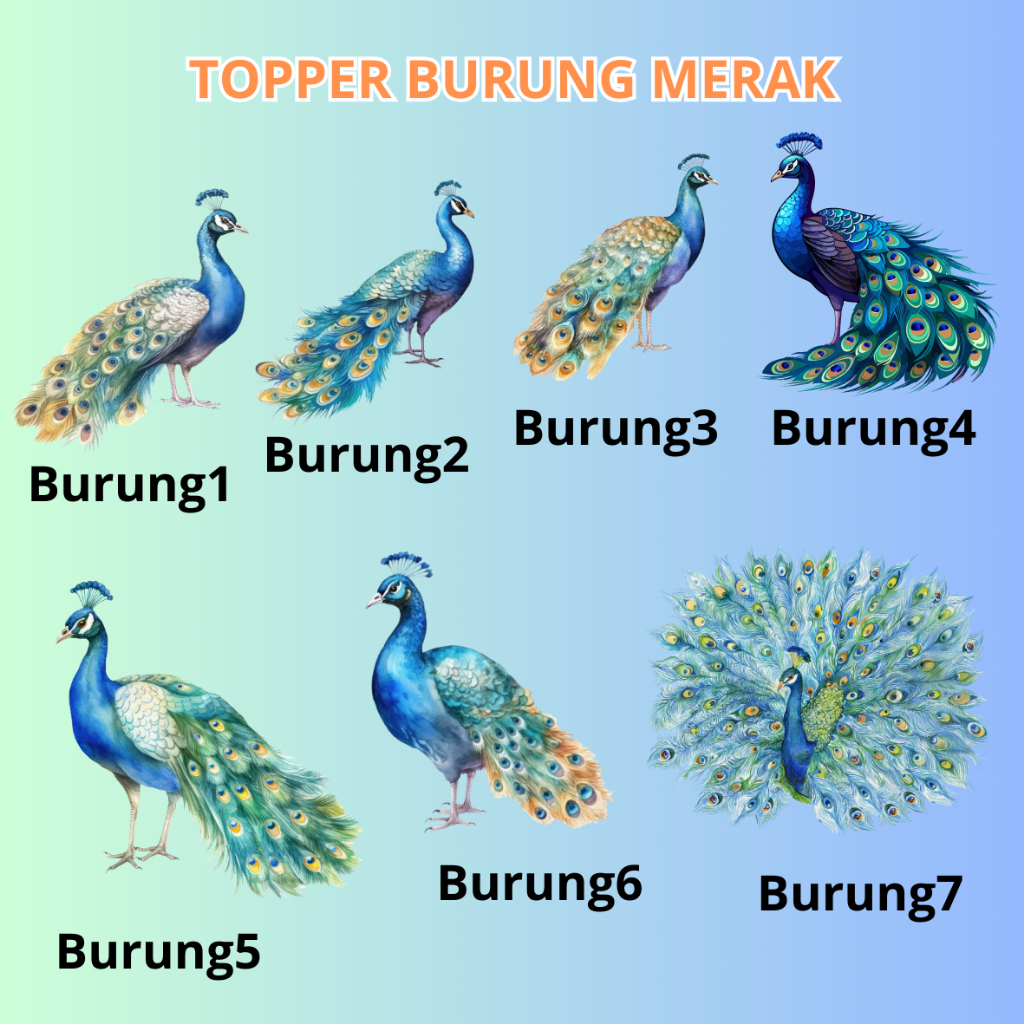 Jual TOPPER BURUNG MERAK/HIASAN SESERAHAN PERNIKAHAN/HIASAN BUKET ...