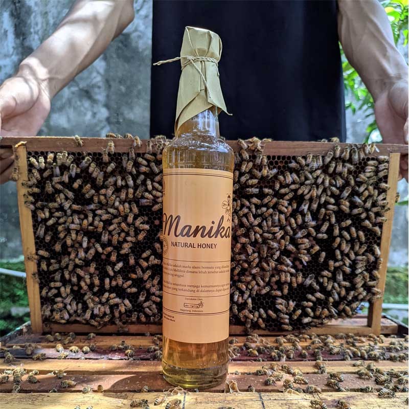 Jual Madu Murni Asli Original Tanpa Campuran 630 g Madu manika | Shopee ...