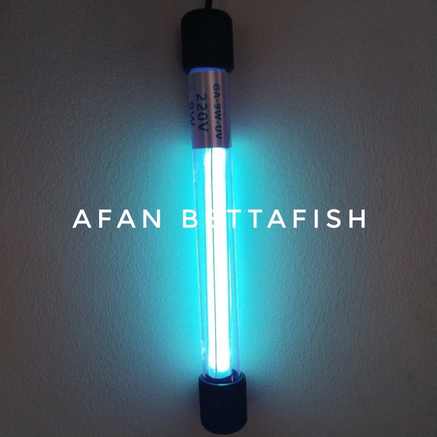 Jual LAMPU UV GINGA GA 5 7 9 11 13 15 20 WATT ULTRAVIOLET AQUARIUM KOLAM | Shopee Indonesia