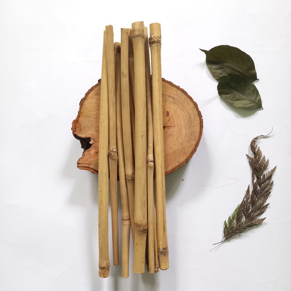 Jual Ranting Kayu Estetik Untuk Kerajinan | Shopee Indonesia