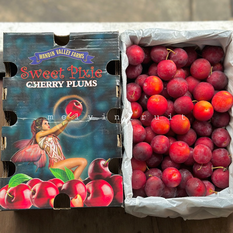Jual Plum Cherry Sweet Australia | Shopee Indonesia