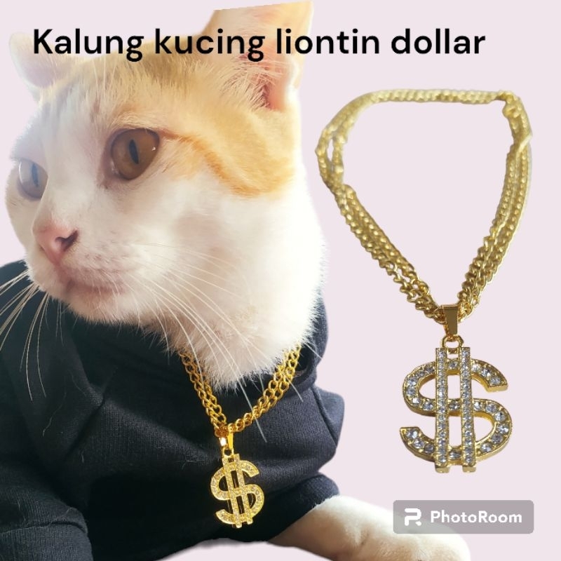 Jual kalung kucing rantai emas bandul dollar emas assesories leher ...