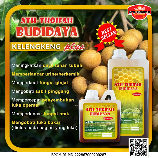 Jual Madu Budidaya Ternak Nektar Bunga Kelengkeng 100% Madu Murni 500gr ...