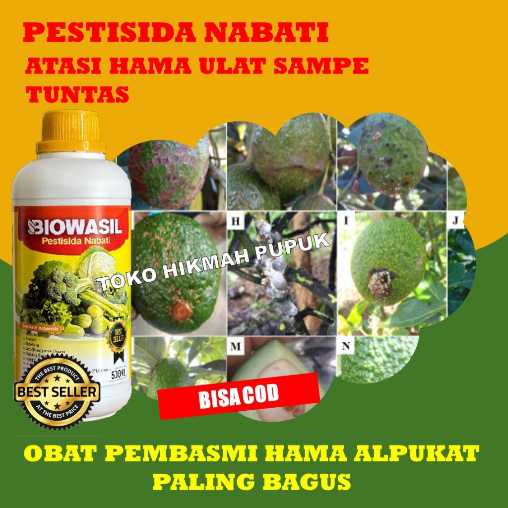 Jual Pestisida Ulat Buah Alpukat BIOWASIL Pembasmi Hama Ulat Alpukat ...