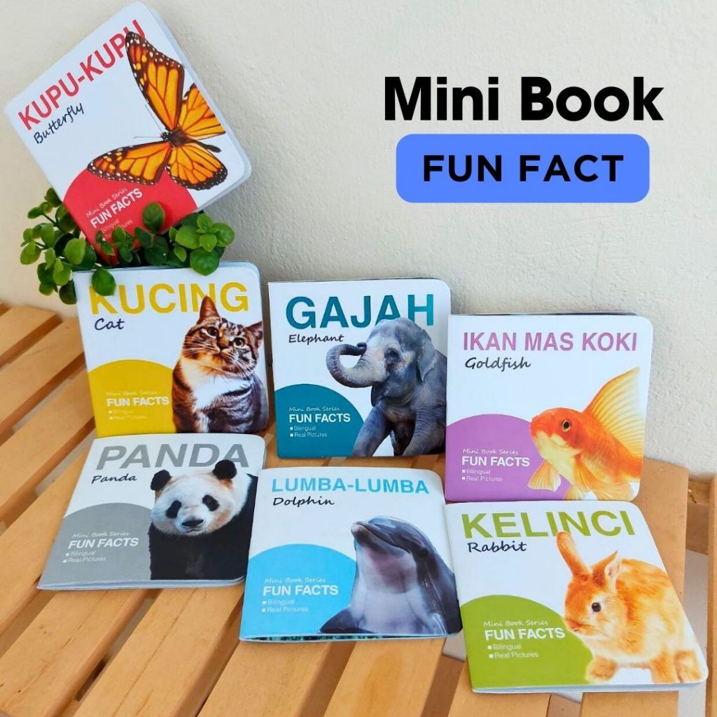 Jual SK MINI BOOK FUN FACT - Buku Pengenalan Pengetahuan Anak Bayi ...