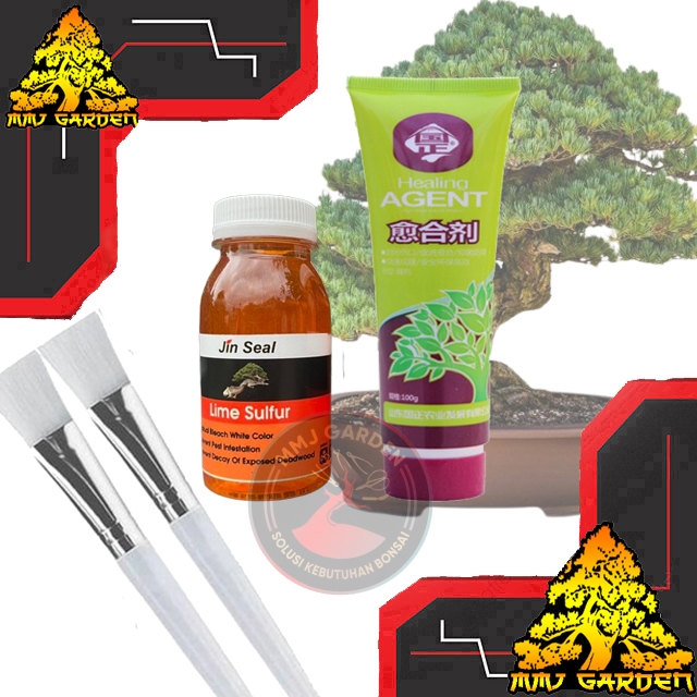 Jual MMJ GARDEN-ALAT BONSAI Paket hemat 2 in 1(LIME SULFUR & SALEP ... Jual MMJ GARDEN-ALAT BONSAI Paket hemat 2 in 1(LIME SULFUR & SALEP ...