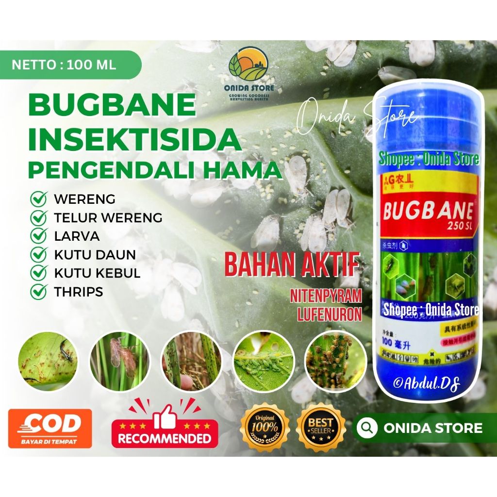 Jual INSEKTISIDA BUGBANE - Mengatasi Hama Wereng, Serangga, Kutu Thrips, Larva, Kutu Daun, Kutu ...