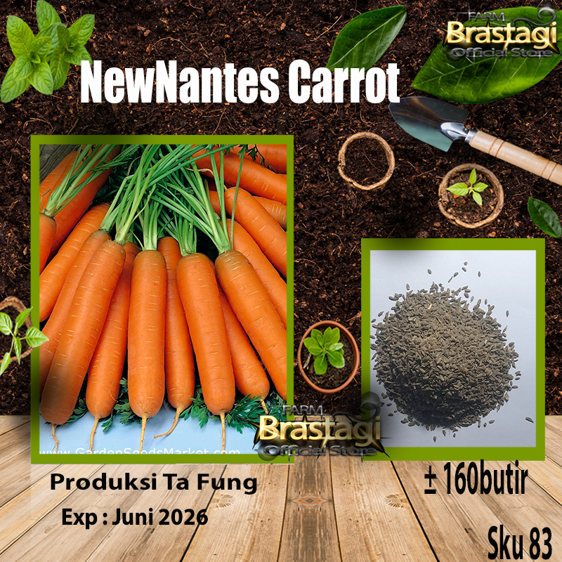 Jual FBTG - 160 Biji Benih Wortel Manis New Nantes Carrot - Bibit Sayur ...