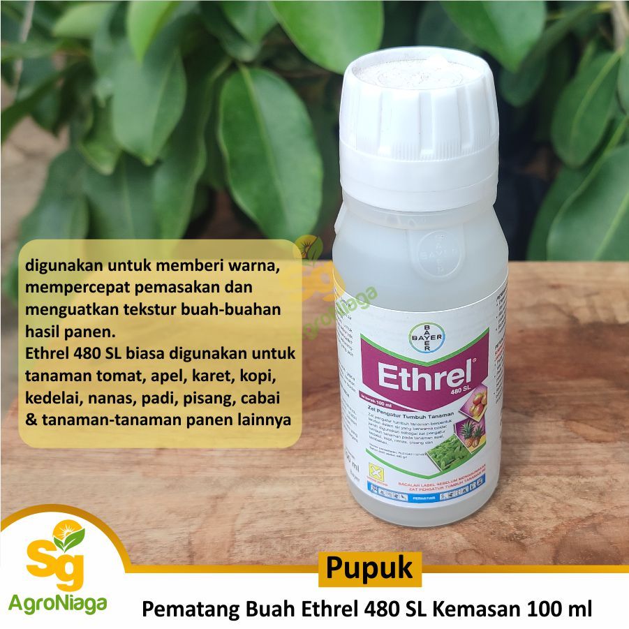 Jual Pematang Buah ZPT Ethrel 480 SL Kemasan 100 ml | Shopee Indonesia