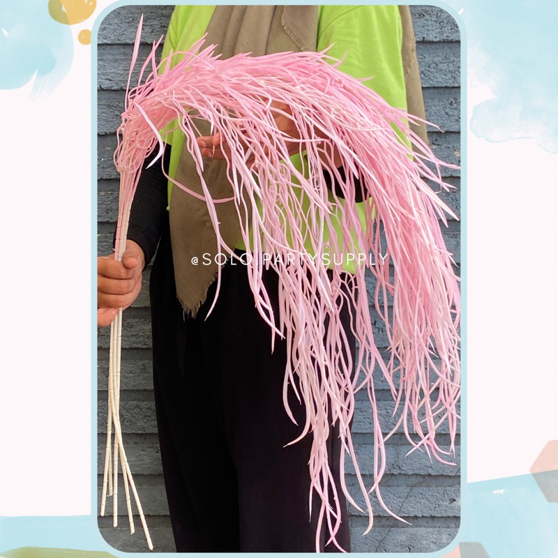 Jual (QC) Terlaris Hanging amaranthus hanging moss hanging Hoya ...