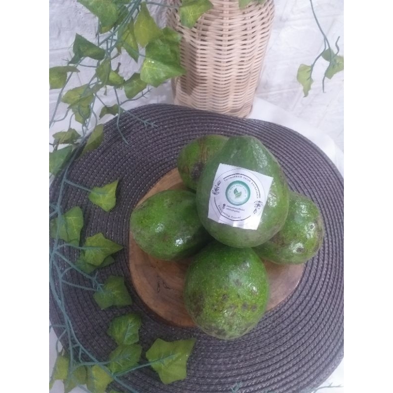 Jual Alpukat Mentega Grade B isi 5-6 buah Asli Tanah Karo Ukuran Sedang ...