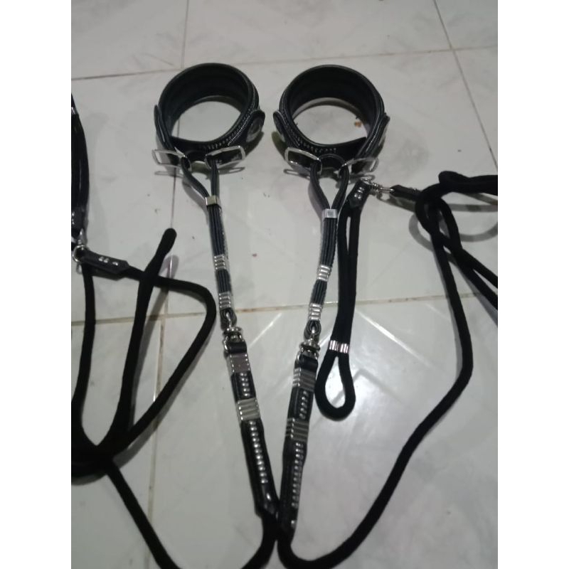 Jual Tali Orang Batang Lurus Kulit Asli ( harga untuk 1 pcs ) | Shopee ...