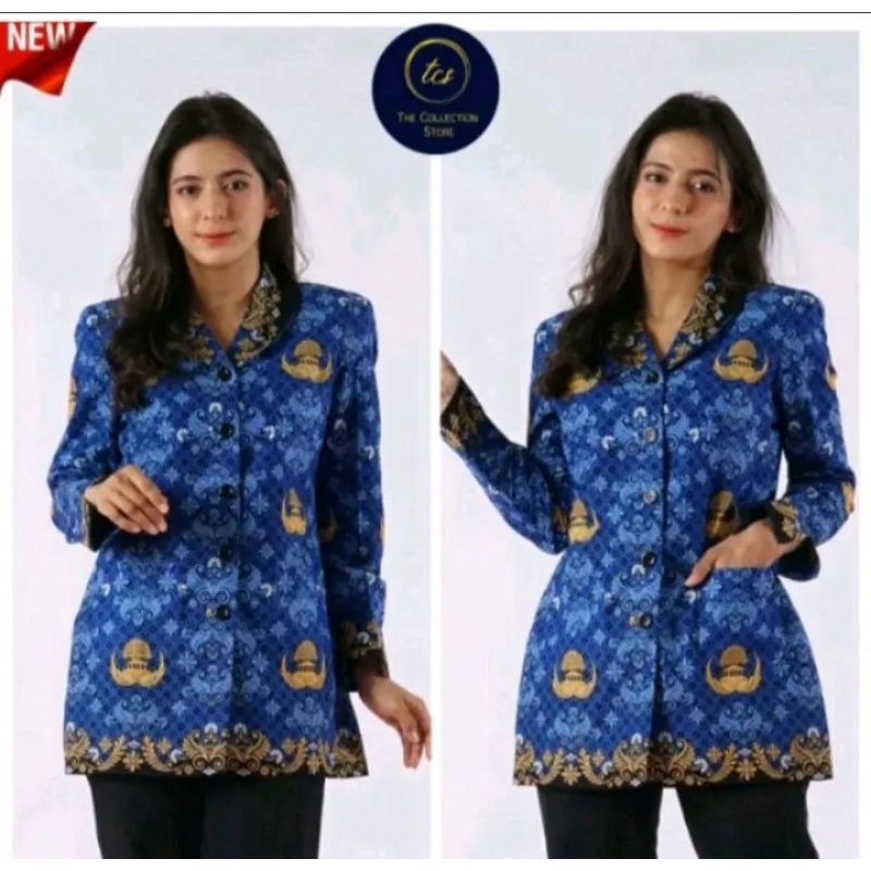 Jual Seragam Korpri Terbaru 2022 //Batik Korpri Pria Wanita Full furing | Shopee Indonesia