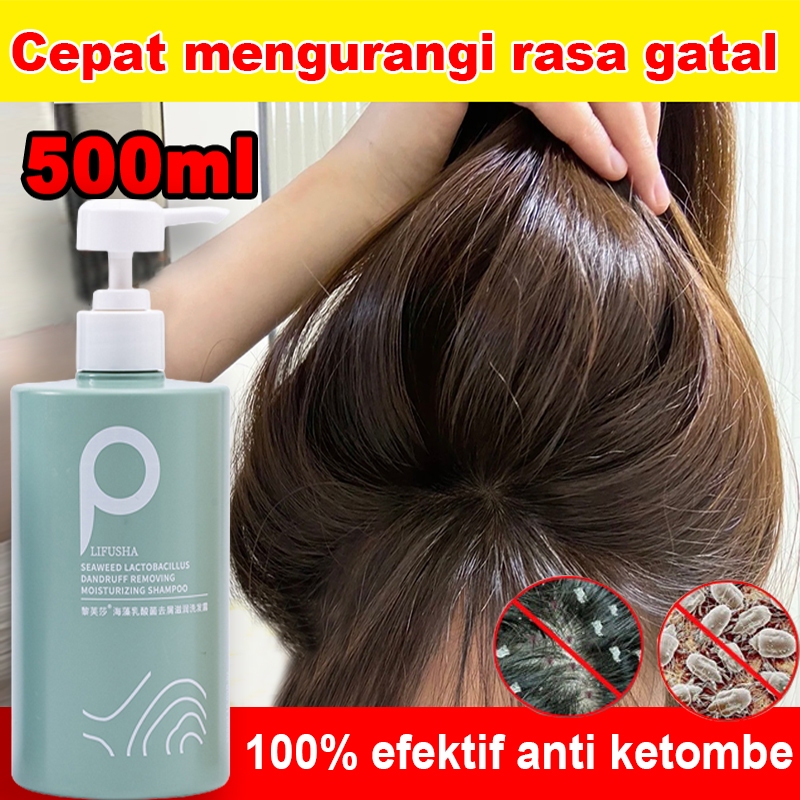 Jual shampoo anti ketombe dan rontok 500ml Anti Gatal perawatan rambut ketombe Garam Laut ...