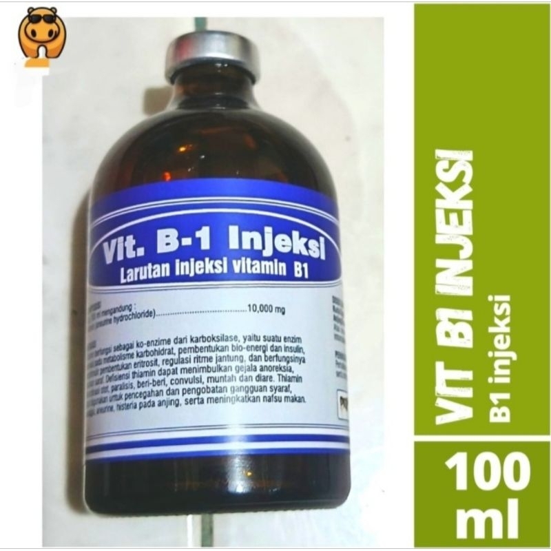 Jual Vitamin B1 100ml injeksi Vitamin Pertumbuhan Nafsu makan hewan ...