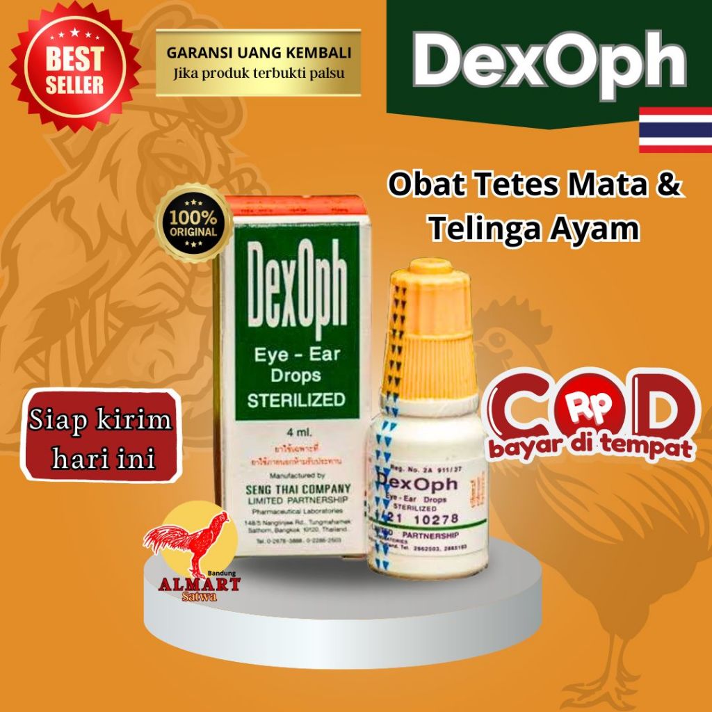 Jual DEXOPH import THAILAND - obat tetes mata & telinga - obat khusus ...