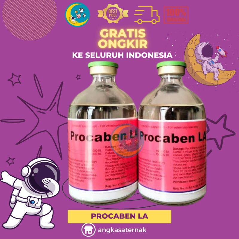 Jual PROCABEN LA @100 ml - Injeksi Antibiotik Penicillin Long Acting ...