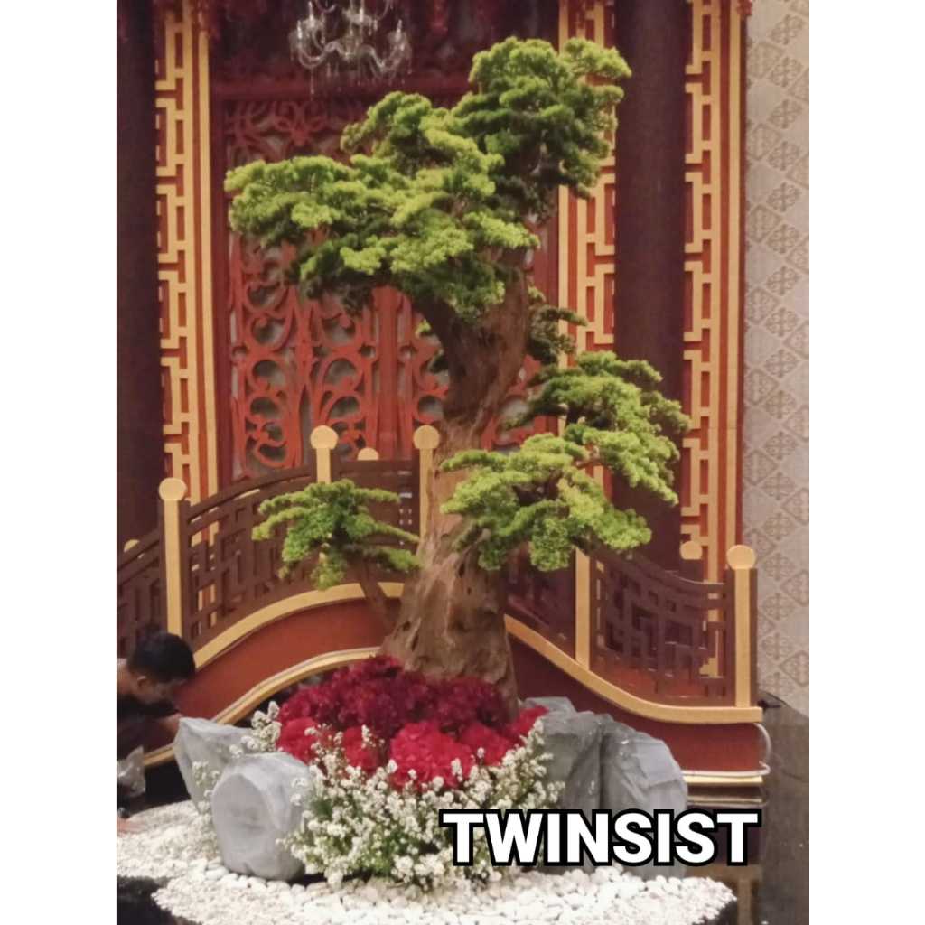 Jual Pohon Bonsai Cemara Udang Plastik Artificial Palsu Tinggi 170 cm ...