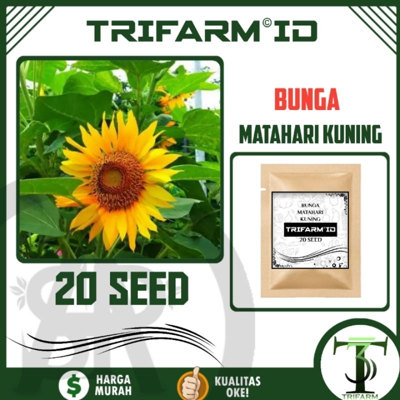 Jual TRIFARM 20 Biji Benih Bibit Bunga Matahari Kuning Kemasan Sachet Kraft | Shopee Indonesia