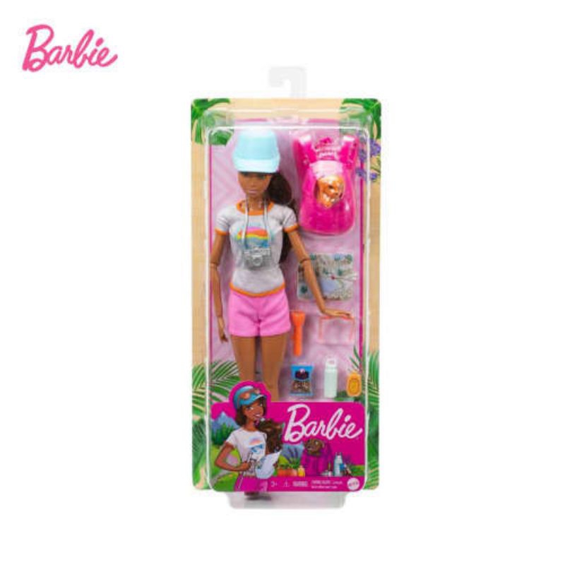 Jual Barbie Boneka Fabulous Wellness With Accessories Gkh73 | Shopee ...