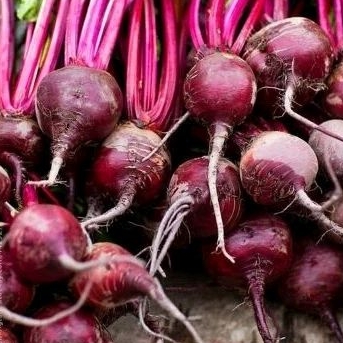 Jual BUAH BIT /BEETROOT (ANEMIA BOOSTER) | Shopee Indonesia