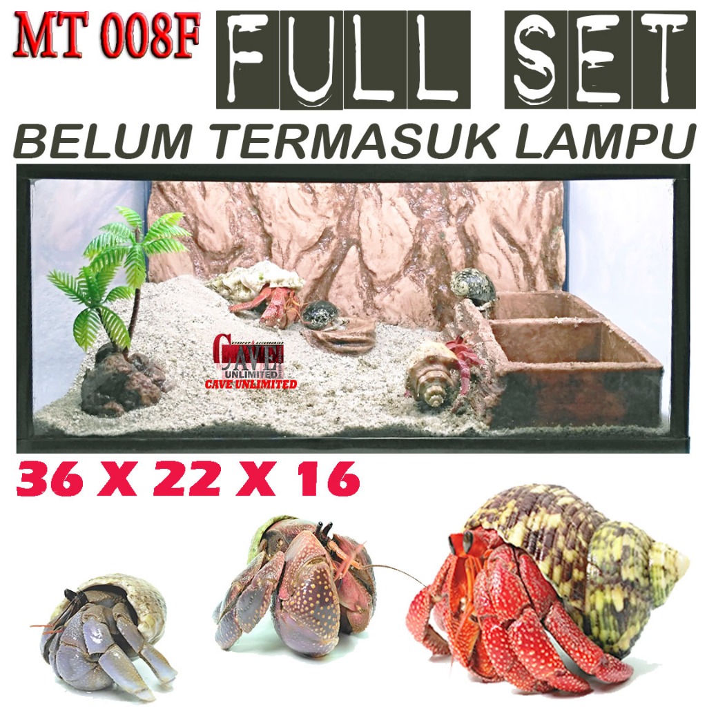 Jual MT008F FULL SET TERRARIUM CRUSTACEA ENCLOSURE HERMIT CRAB KELOMANG UMANG POMPONGAN KEONG ...