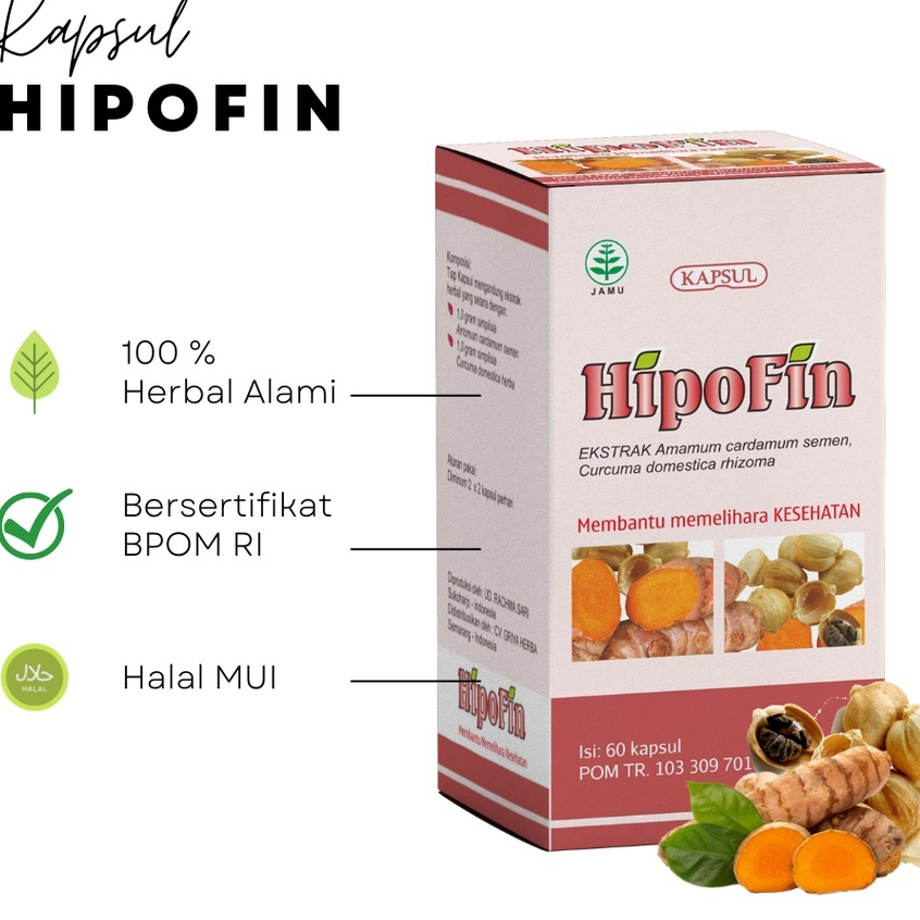 Jual HIPOFIN - Obat Anemia, Kurang Darah, HB Rendah, Menaikan HB Rendah ...