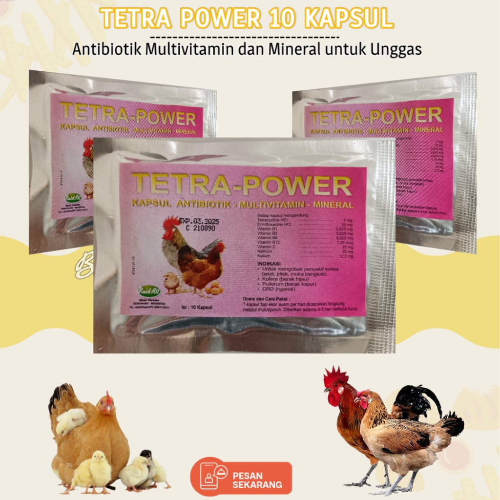 Jual 10 Kapsul Tetra Power Antibiotik Multivitamin Mineral Obat Ayam ...