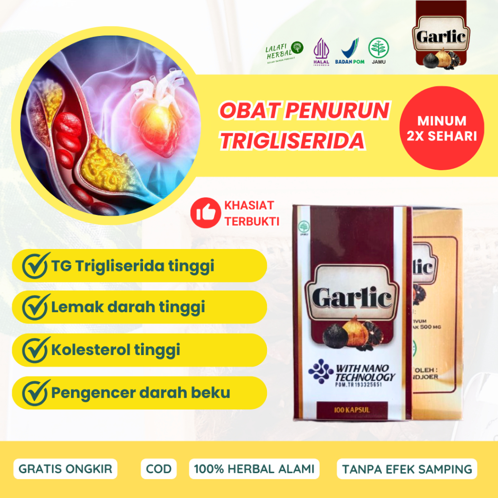 Jual Obat Penurun Trigliserida Tinggi TG, Pengencer Darah Kental Herbal ...