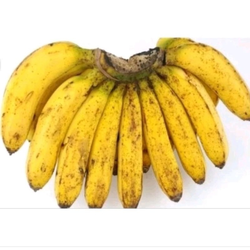 Jual BUAH PISANG RAJA BULU / PISANG RAJA / JAMIN SEGAR / 1 SISIR ...