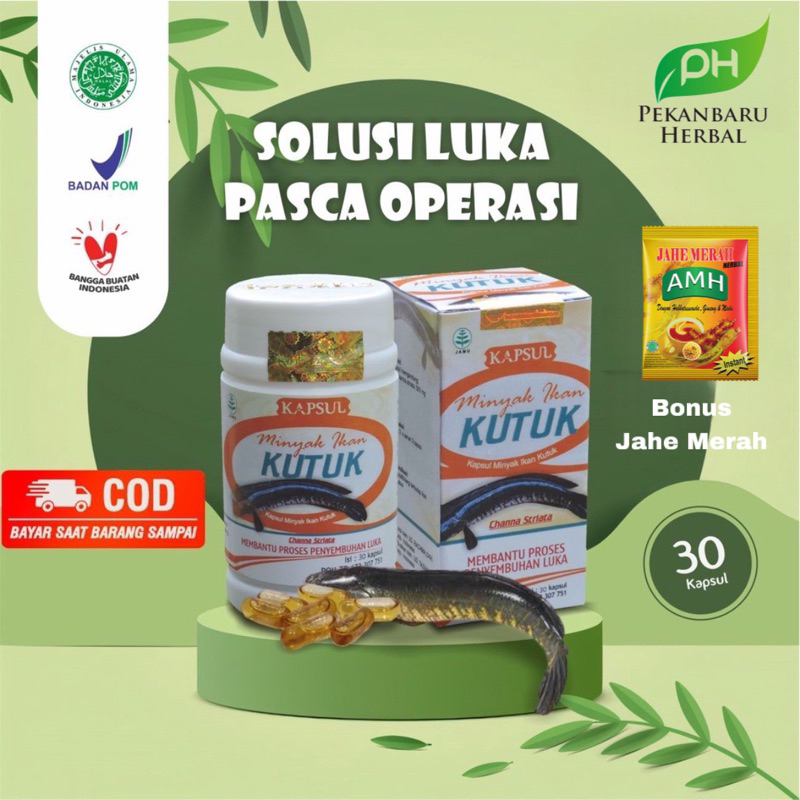 Jual KAPSUL KUTUK Premium Original Minyak Ikan Gabus Herbal Tazakka Obat Pengering Luka Pasca ...