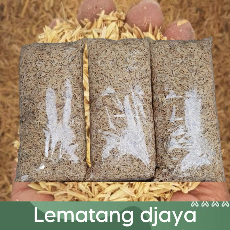 Jual sekam mentah kulit padi media tanam plastik 2 kg isi full | Shopee ...