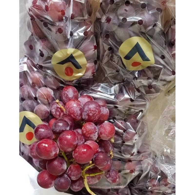 Jual Anggur Red Globe RRC premiun / Manis ada biji | Shopee Indonesia