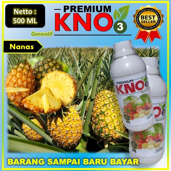 Jual NEW order Pupuk pelebat PREMIUM KNO3 GENERATIF 500ML tanaman nanas - Pupuk cair ...