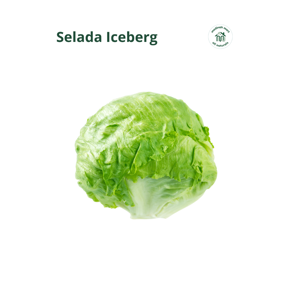 Jual Organik Selada Bulat 300gr | Shopee Indonesia
