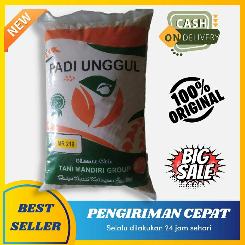 Jual benih padi MR219 anakan banyak tahan rebah 5 kg | Shopee Indonesia