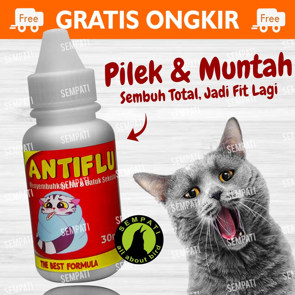 Jual Obat Kucing Anti Flu Batuk Pilek Antibiotik Kucing Kitten Anabul ...