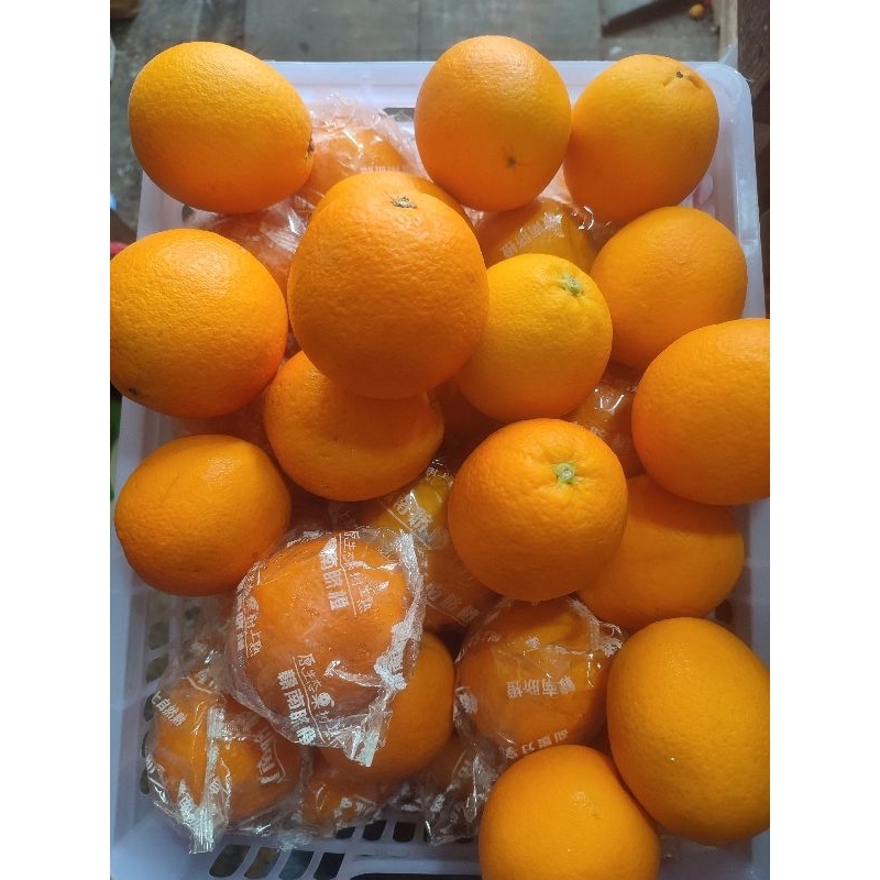 Jual Jeruk Sunkist Navel Super 700 gr - 1 kg | Shopee Indonesia