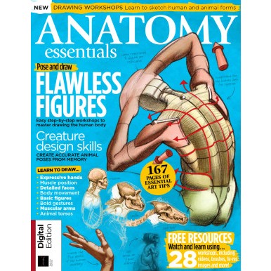 Jual Anatomy Essentials - 12th Edition, 2022 Various | Shopee Indonesia